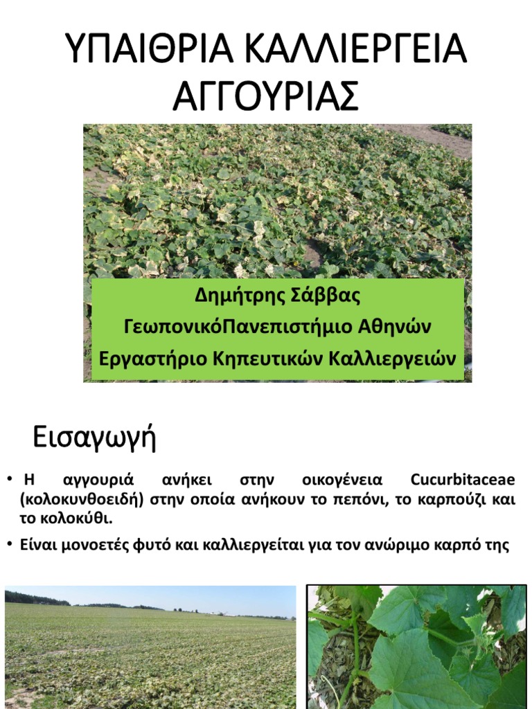4 ΥΠΑΙΘΡΙΑ ΚΑΛΛΙΕΡΓΕΙΑ ΚΟΛΟΚΥΝΘΩΔΩΝ | PDF