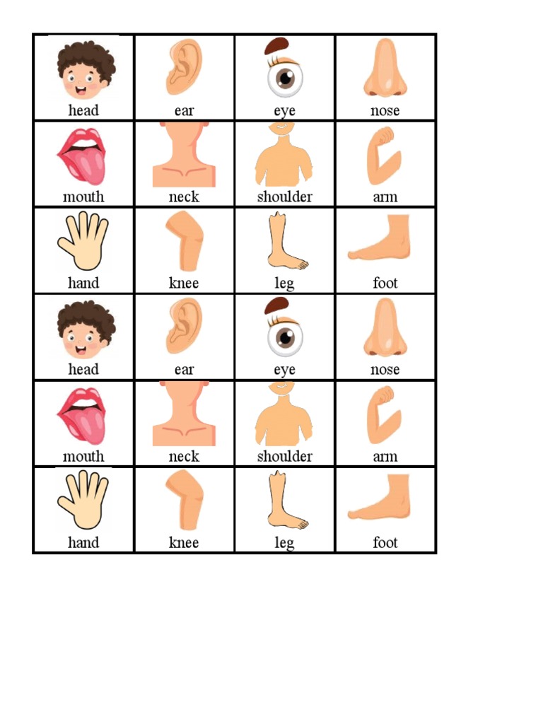 Human Body Parts PDF