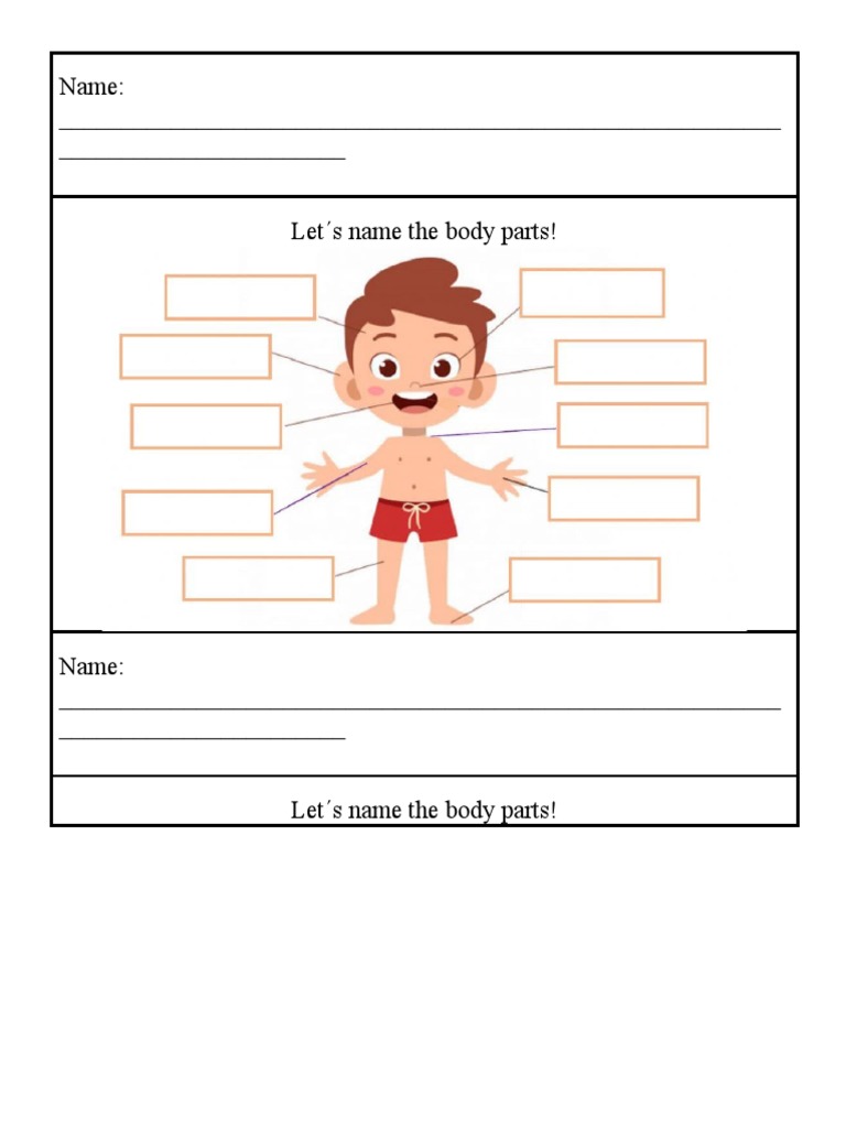 Human Body Parts Activity | PDF | Human Anatomy | Anatomy