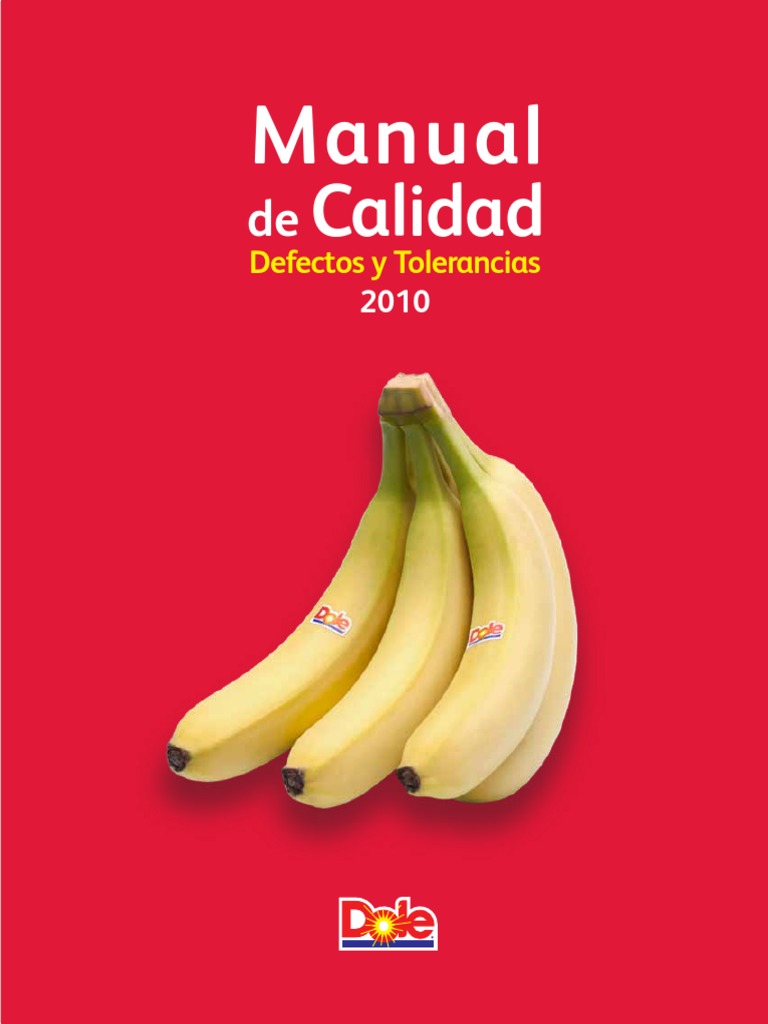 Manual Decal I Dad Dole PDF Original | PDF | Calibración | Medición