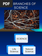 The Branches of Science PPT | PDF