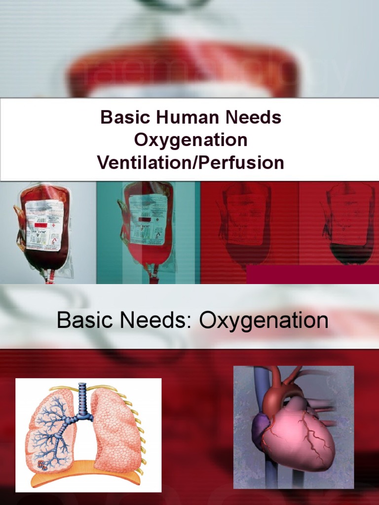 Basic Human Needs Oxygenation Ventilation/Perfusion | PDF | Heart ...