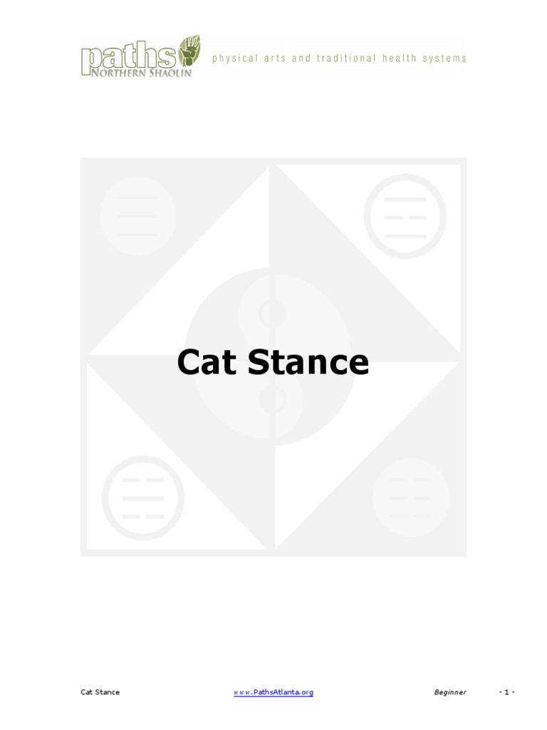 25 - Cat Stance | PDF