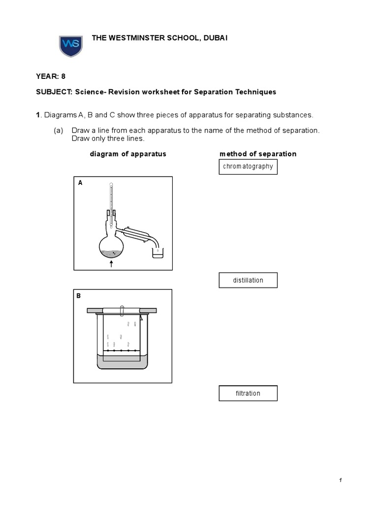 Separation Techniques Questions YR8 | Download Free PDF ...