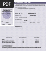 Ejemplo de Cedula de Identificacion Fiscal Cif 080522 | PDF | Impuesto ...