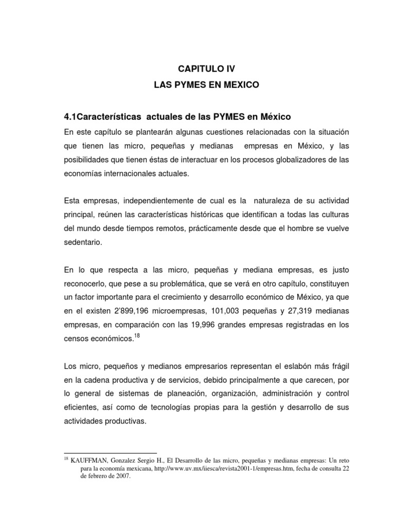 Las Pymes en Mexico | PDF | Pequeñas y medianas empresas | México