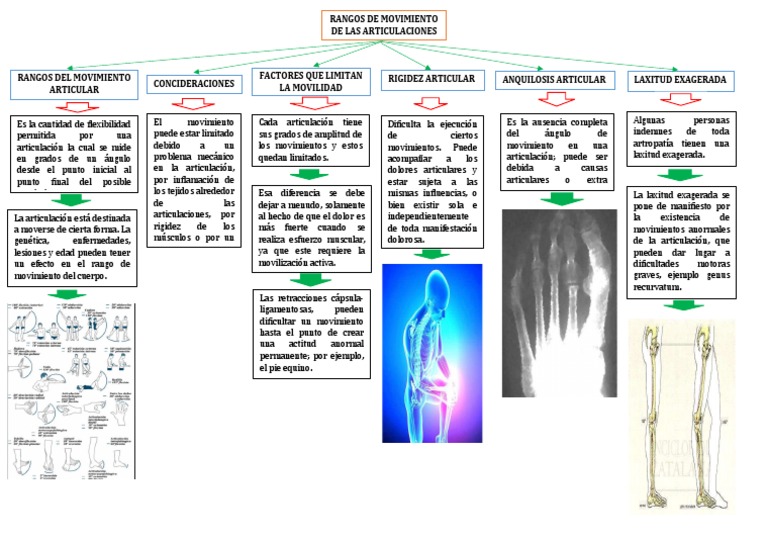 Rangos de Movimiento de Las Articulaciones | PDF | Articulación ...