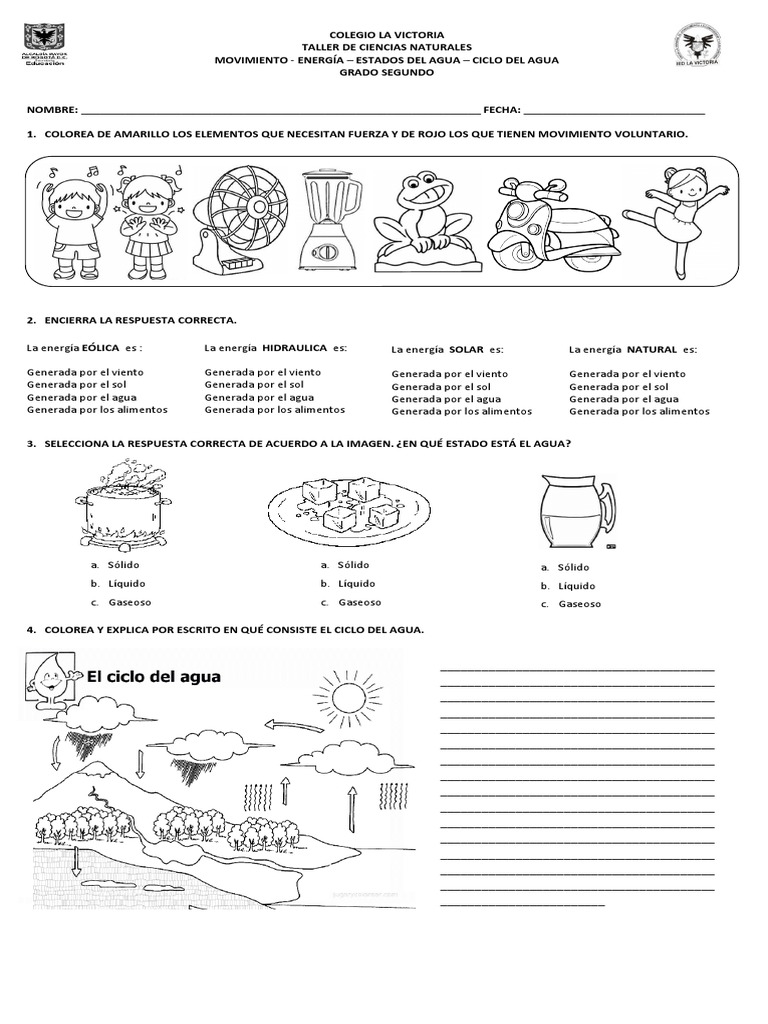 Taller de Repaso de Fuerza, Energía, Estados y Ciclo Del Agua | PDF ...