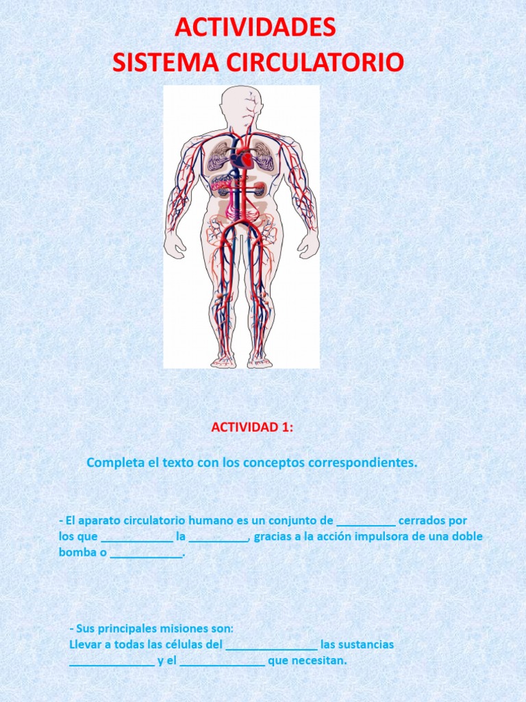 Actividades Del Sistema Circulatorio. | PDF