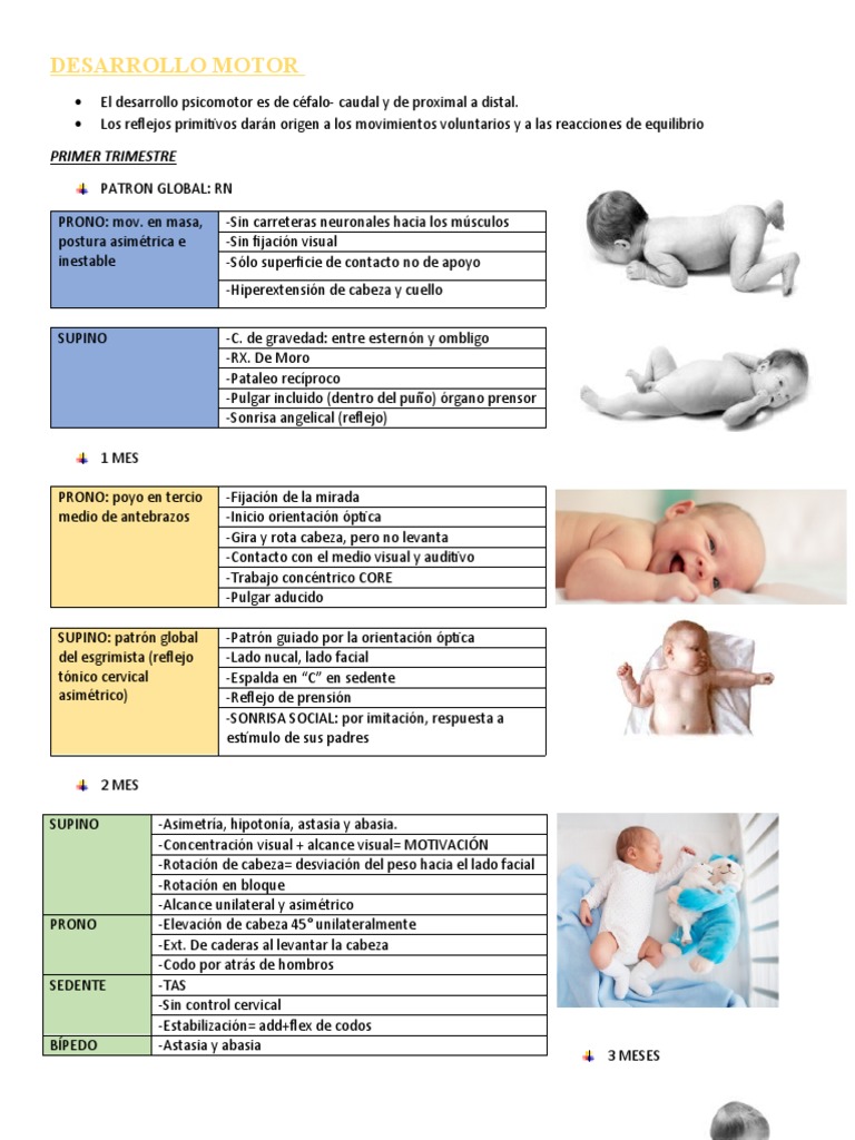 Desarrollo Motor en Bebés: Etapas Clave | PDF | Mano | Rodilla