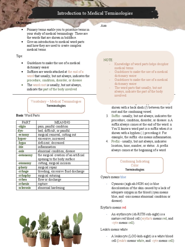 Introduction To Medical Terminologies | PDF | Medicine | Medical ...