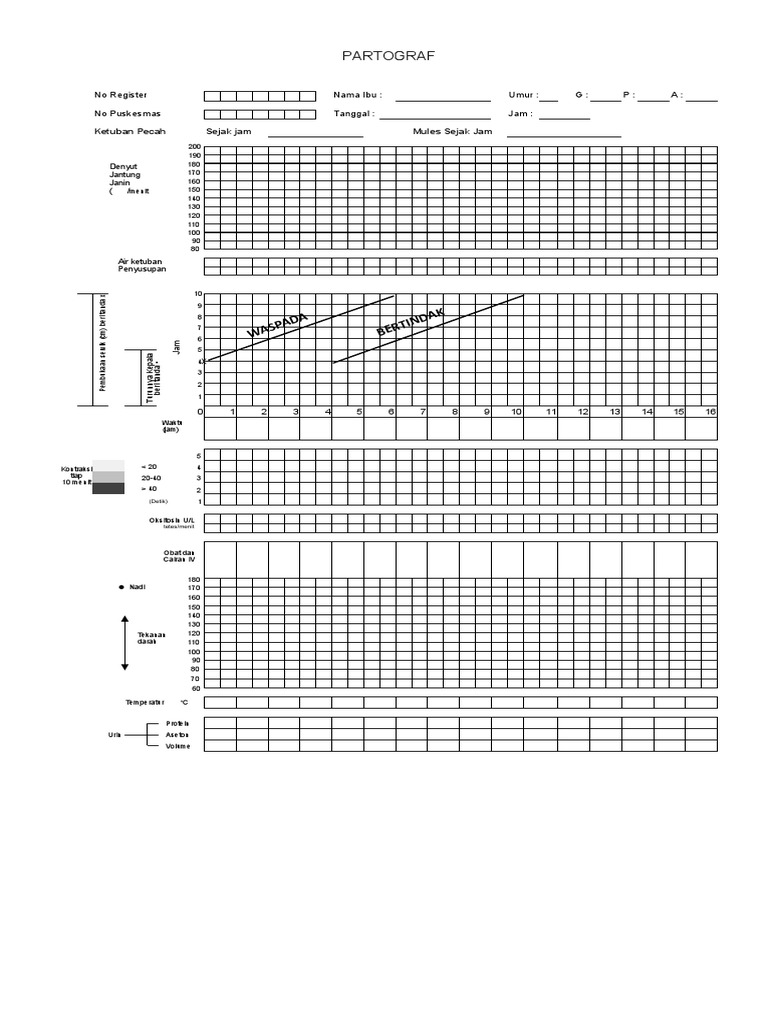 Partograf Kosong | PDF