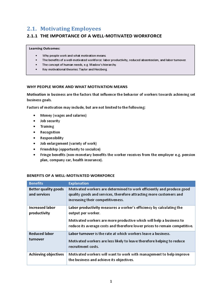 Business IGCSE | PDF | Motivational | Motivation