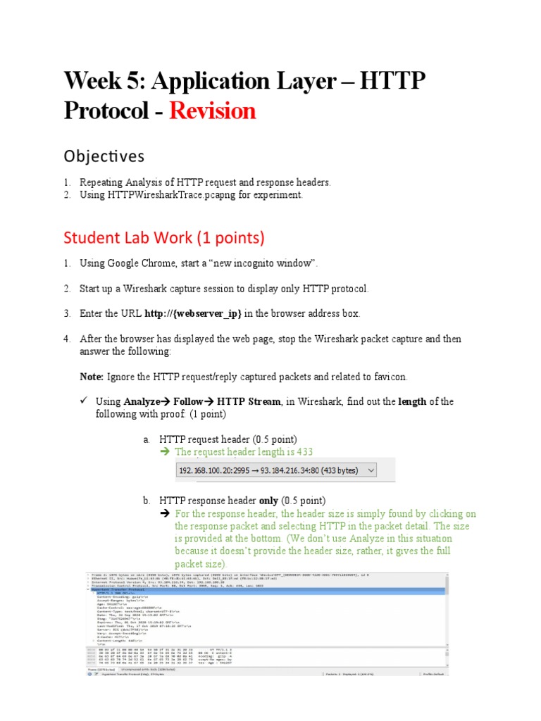 Week 5: Application Layer - HTTP Protocol - : Revision | Download Free PDF | Domain Name System ...