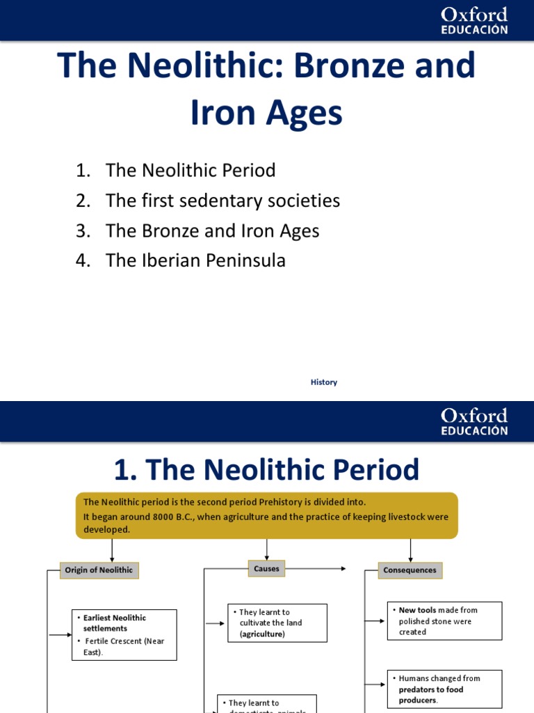 The Neolithic: Bronze and Iron Ages | PDF | Neolithic | Bronze