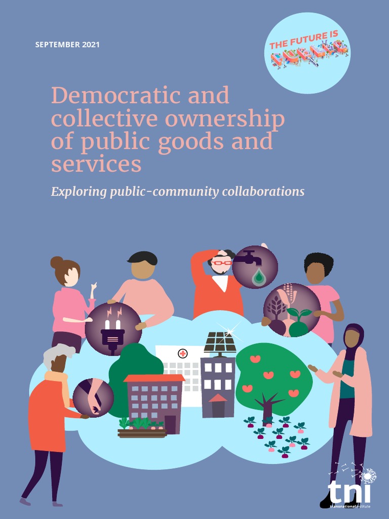 Democratic and Collective Ownership of Public Goods and Services | PDF ...