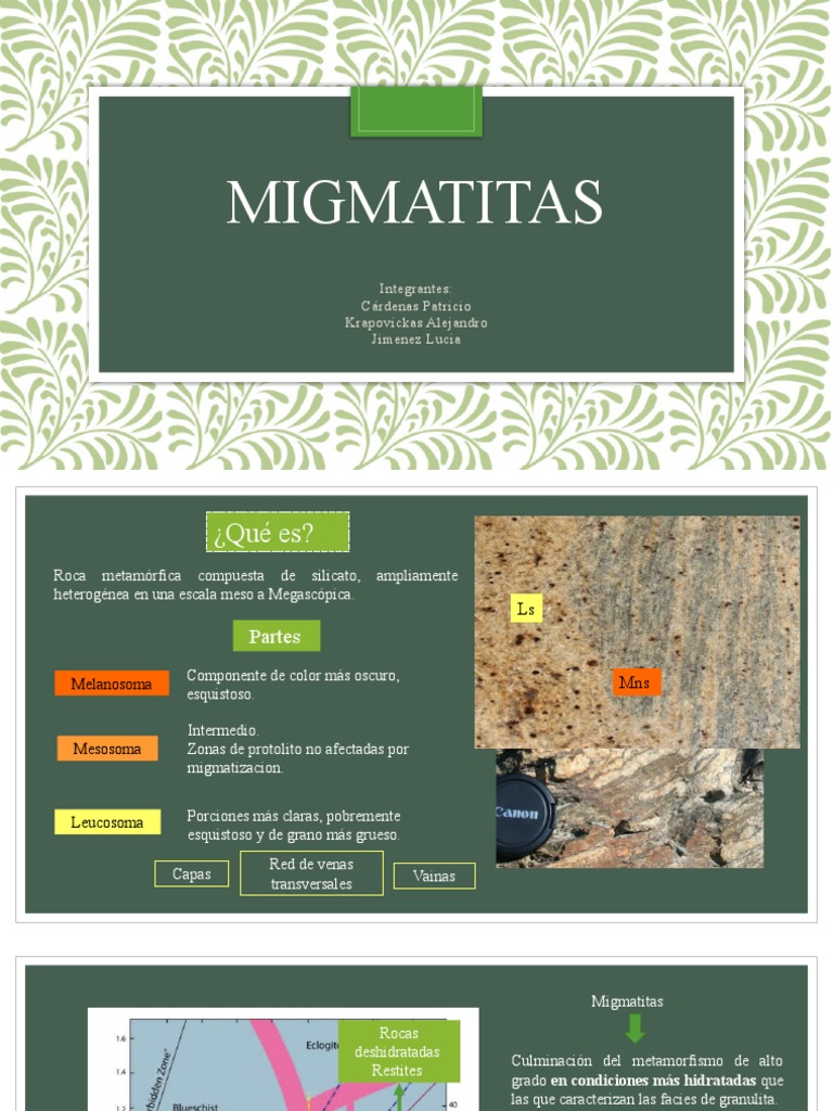 Migmatitas | PDF | Roca (geología) | Estructura de la tierra