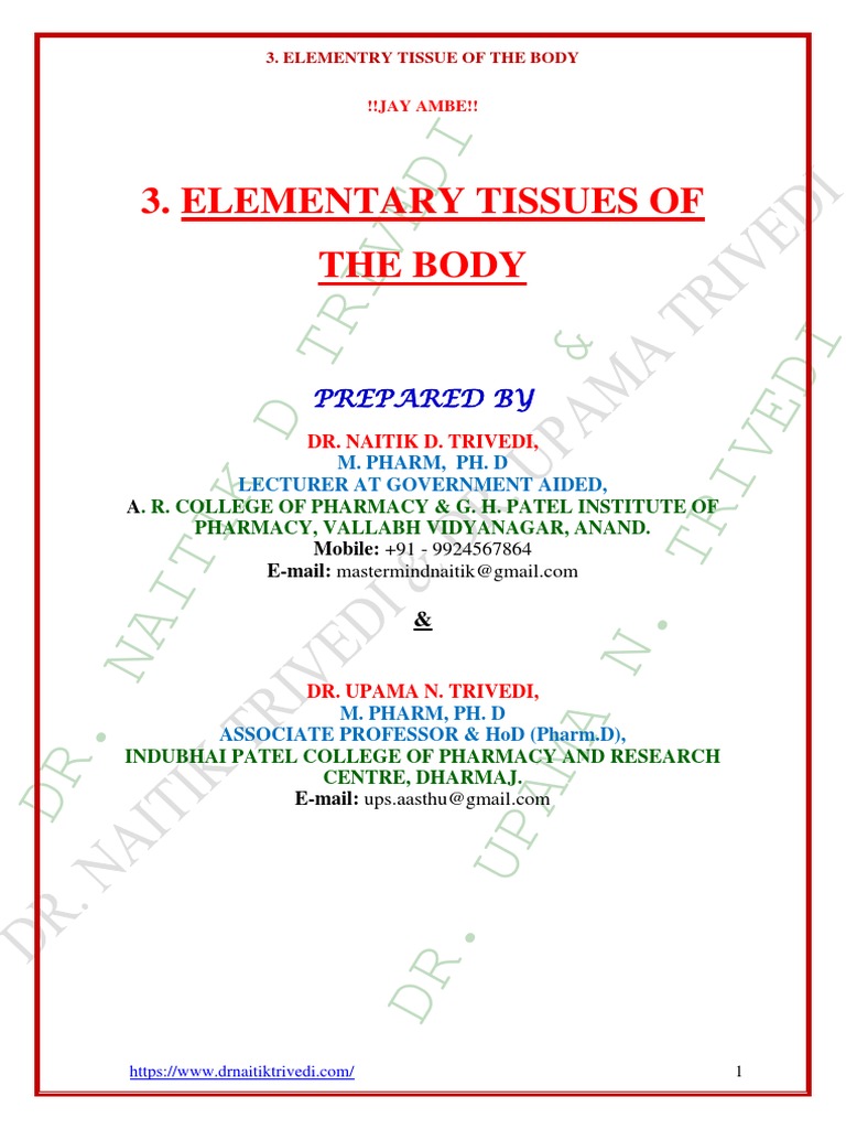 Elementary Tissues of The Body | PDF