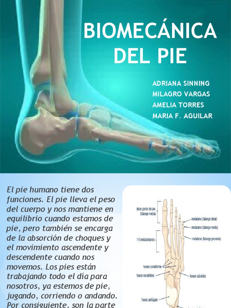 Biomecanica Del-Pie | PDF | Pie | Articulación Biomecanica Del-Pie | PDF | Pie | Articulación