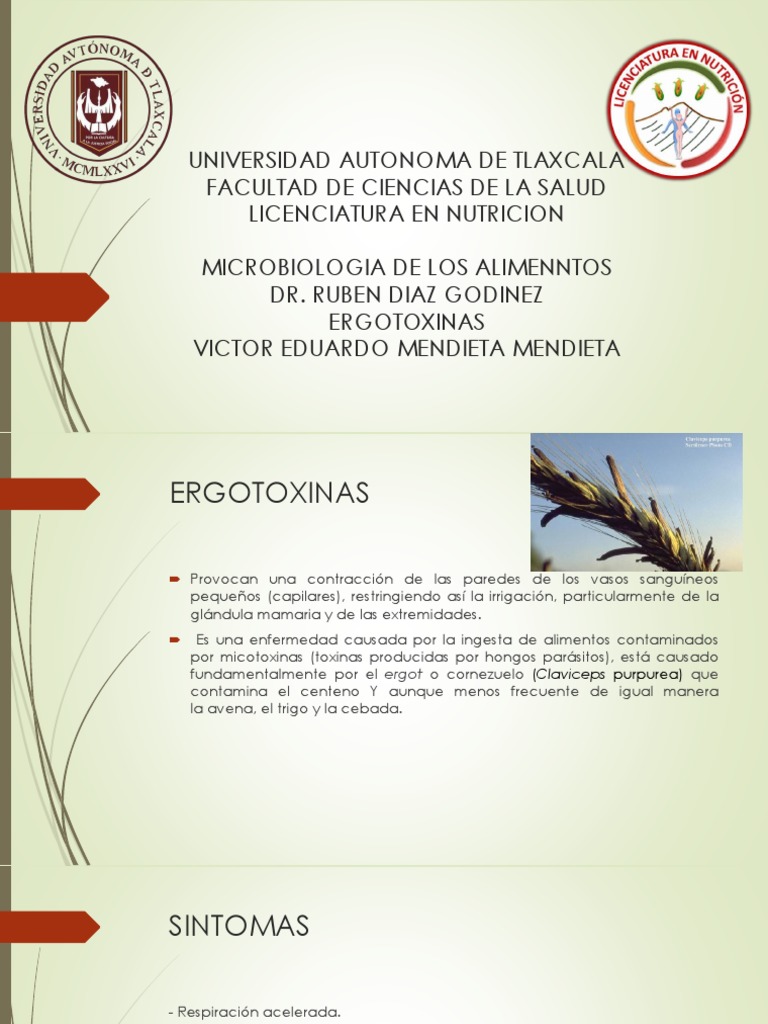 Ergotismo: efectos y tratamiento de la intoxicación por ergotoxinas | PDF