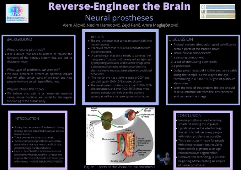 Reverse-Engineer The Brain | PDF | Prosthesis | Eye