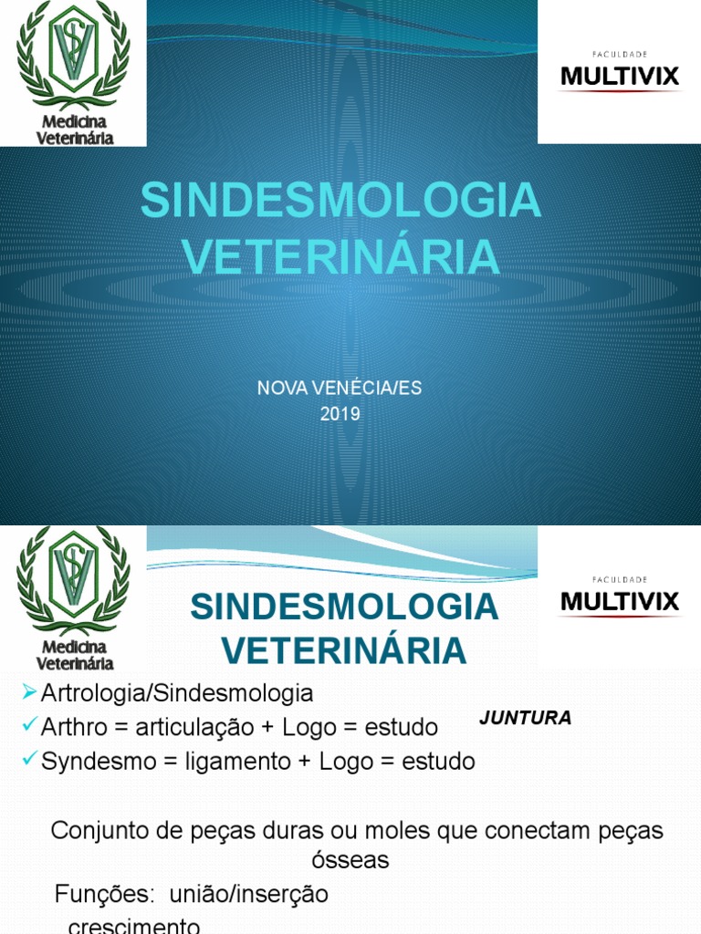 SINDESMOLOGIA VETERINaRIA | Download grátis PDF | Cartilagem | Osso