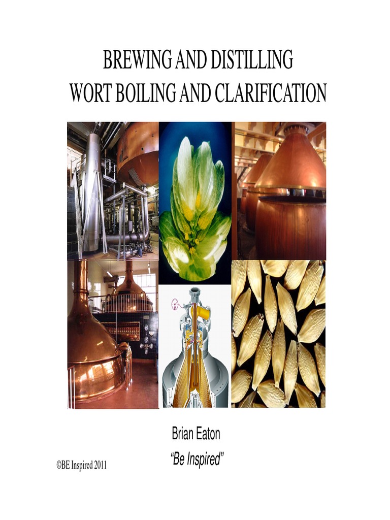 Wort Boiling and Clarification | PDF | Brewing | Heat Exchanger