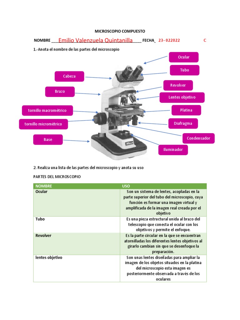 Tarea Partes Del Microscopio . | PDF | Lente de la cámara | Microscopio