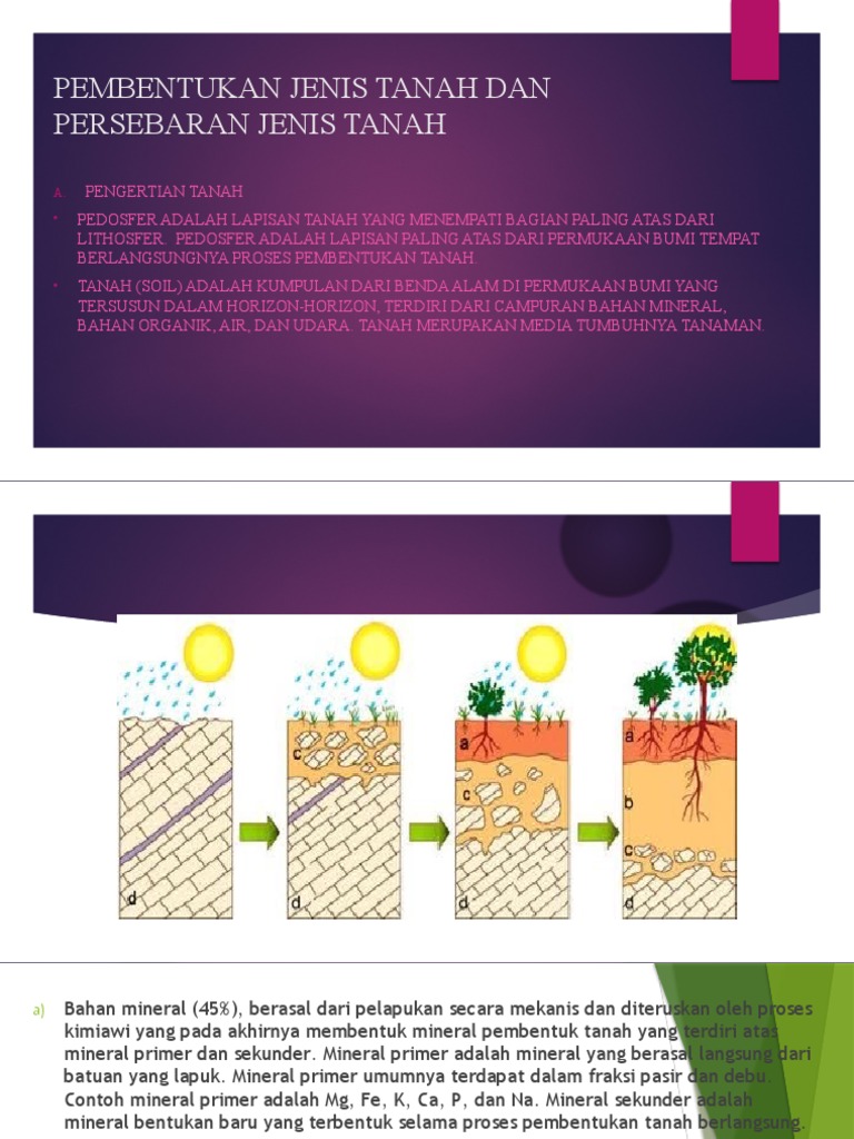 Pembentukan Jenis Tanah | PDF | Sains & Matematika