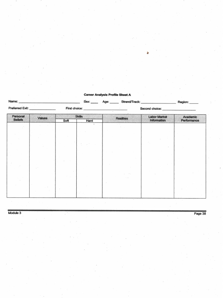 Career Analysis Profile Sheet A Blank | PDF