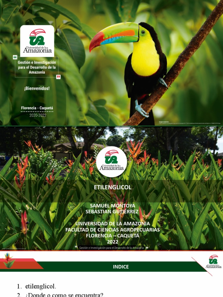 ETILENGLICOL | PDF | Biotransformación | Medicina CLINICA