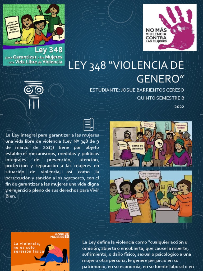 Ley 348 | PDF