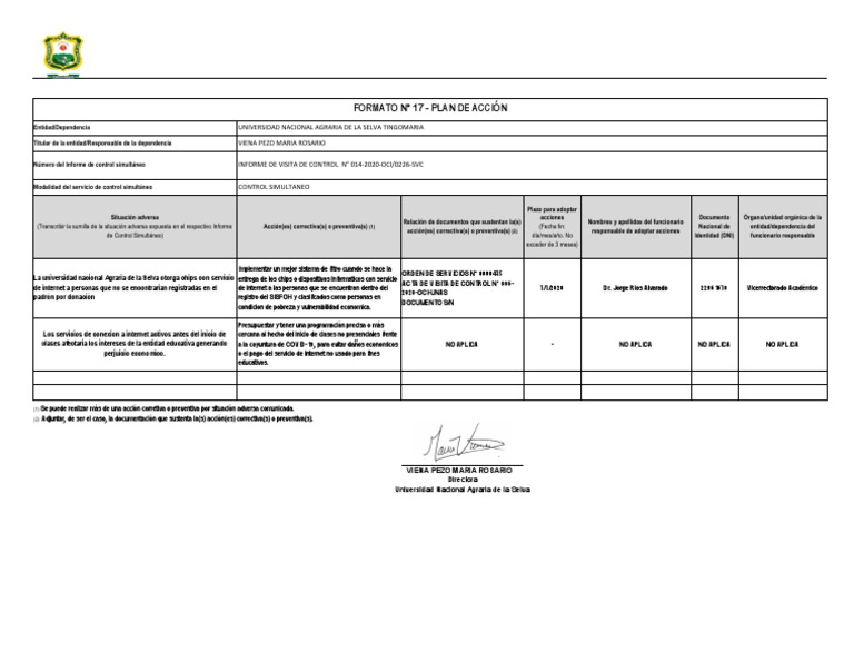 Formato 17 - Plan de Acción | PDF
