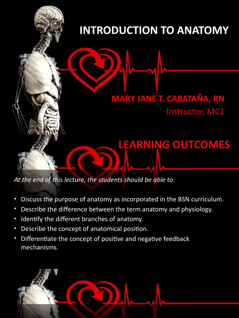Anaphy PPT 1 | PDF | Anatomical Terms Of Location | Anatomy