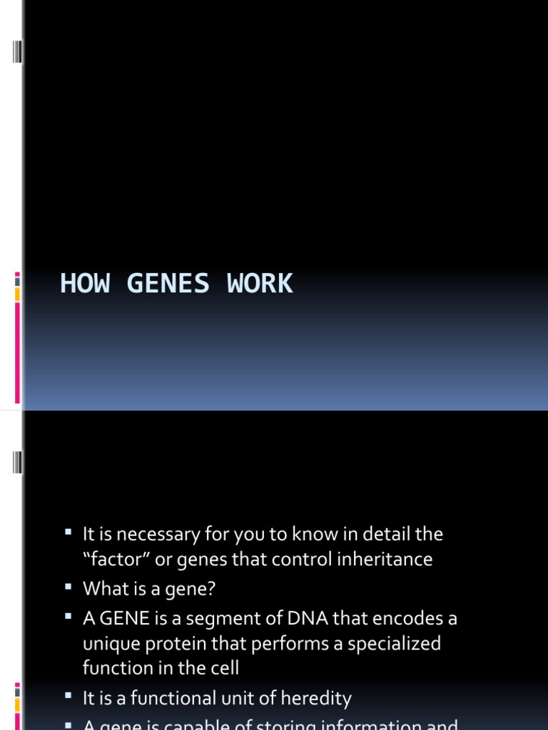 How Genes Work | PDF | Dna Replication | Translation (Biology)