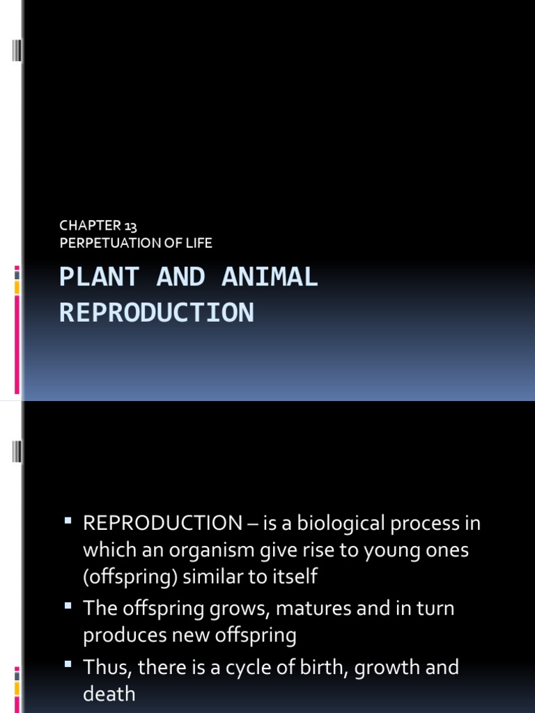 Plant and Animal Reproduction | PDF