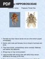 Floor Marking Color Code Guide OSHA Standards - BRADY | PDF ...