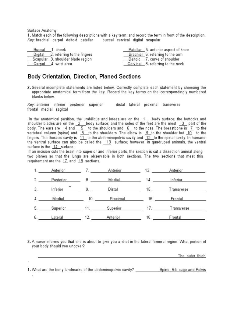 Body Orientation, Direction, Planed Sections | PDF | Anatomical Terms ...