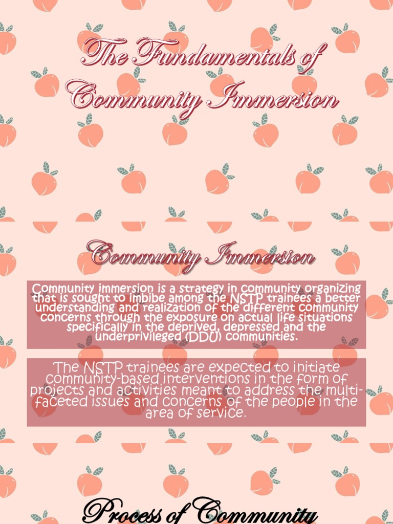 Phases of Community Immersion Process | PDF | Needs Assessment | Survey ...