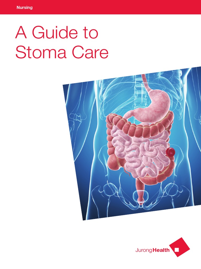 A Guide To Stoma Care | PDF | Fruit | Vegetables