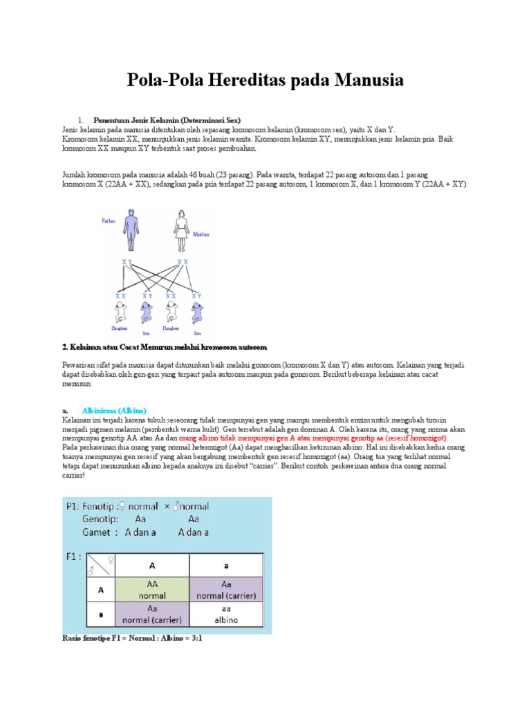 Materi Pola-Pola Hereditas Pada Manusia | PDF
