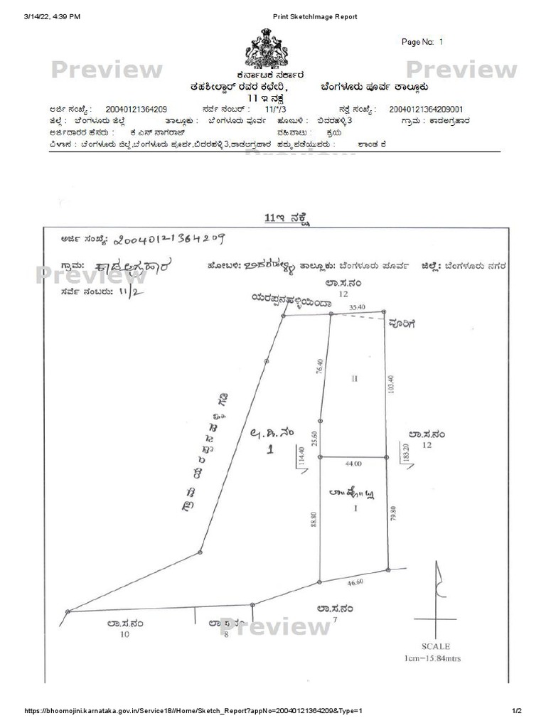 Print SketchImage Report | PDF
