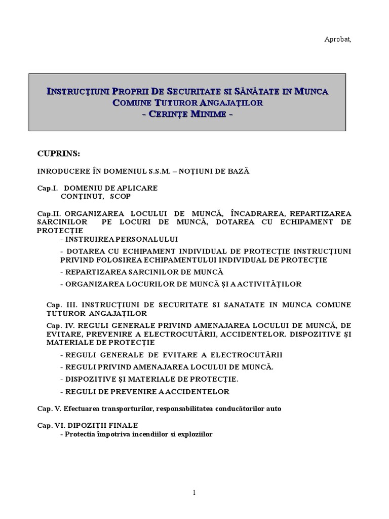 Instructiuni Generale SSM | PDF