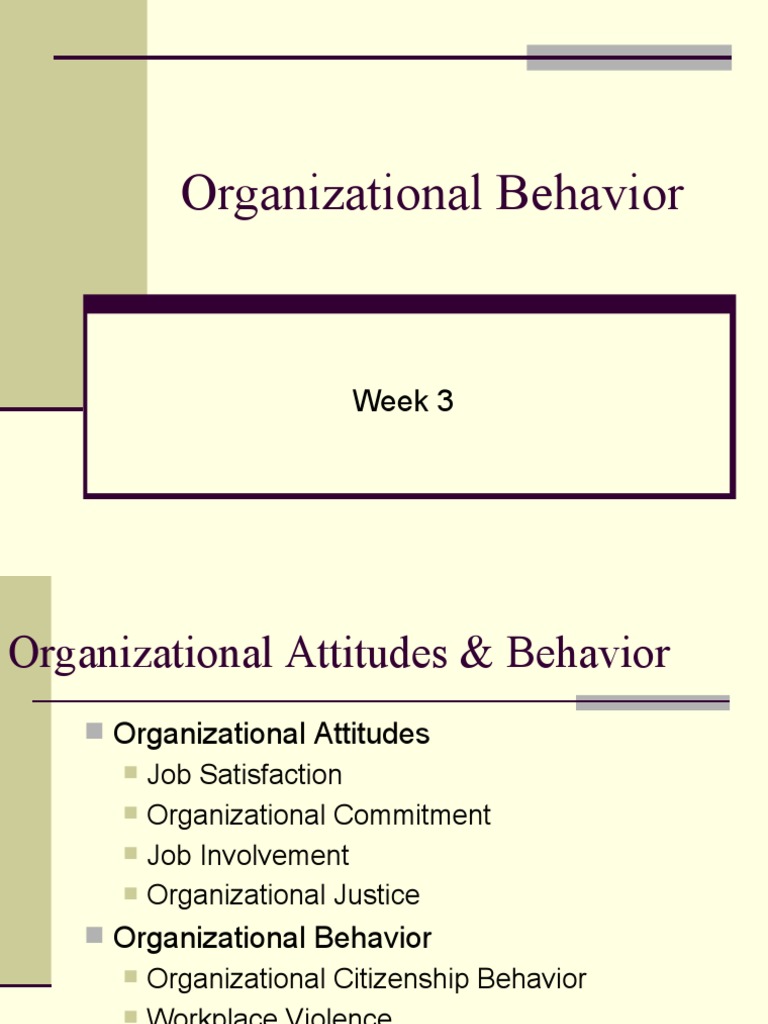 Organizational Behavior: Week 3 | PDF | Job Satisfaction | Organizational Behavior