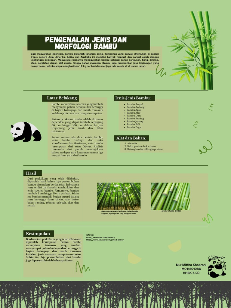 Pengenalan Jenis Dan Morfologi Bambu | PDF