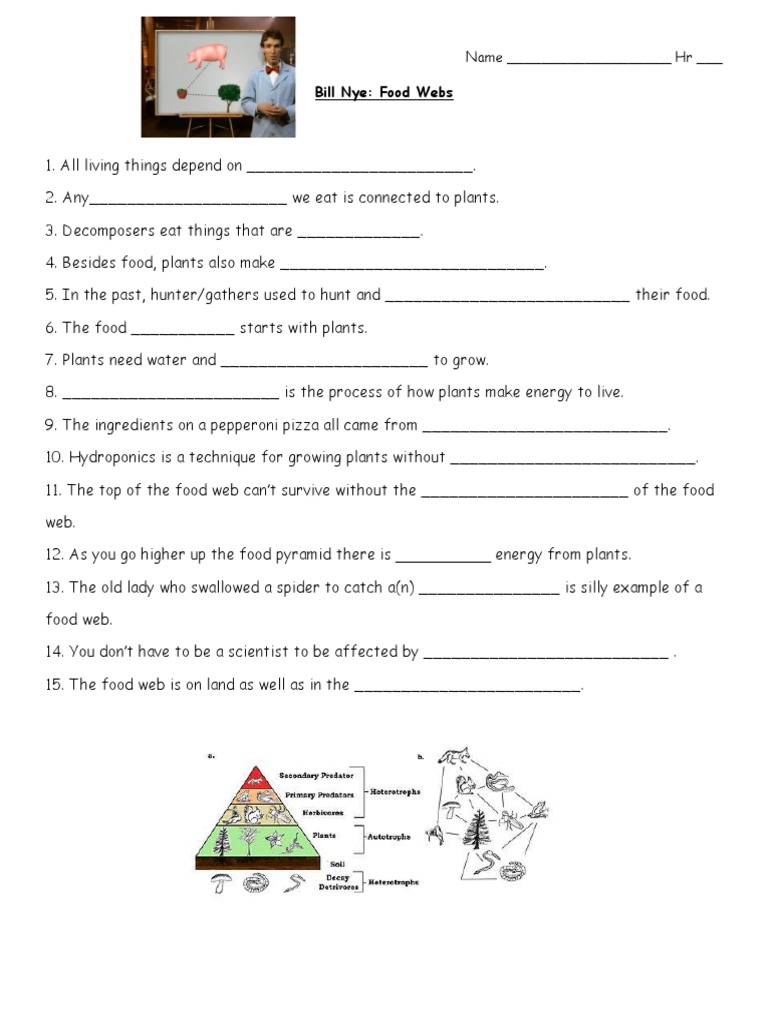 Bill Nye Food Webs-Viewing Guide | PDF
