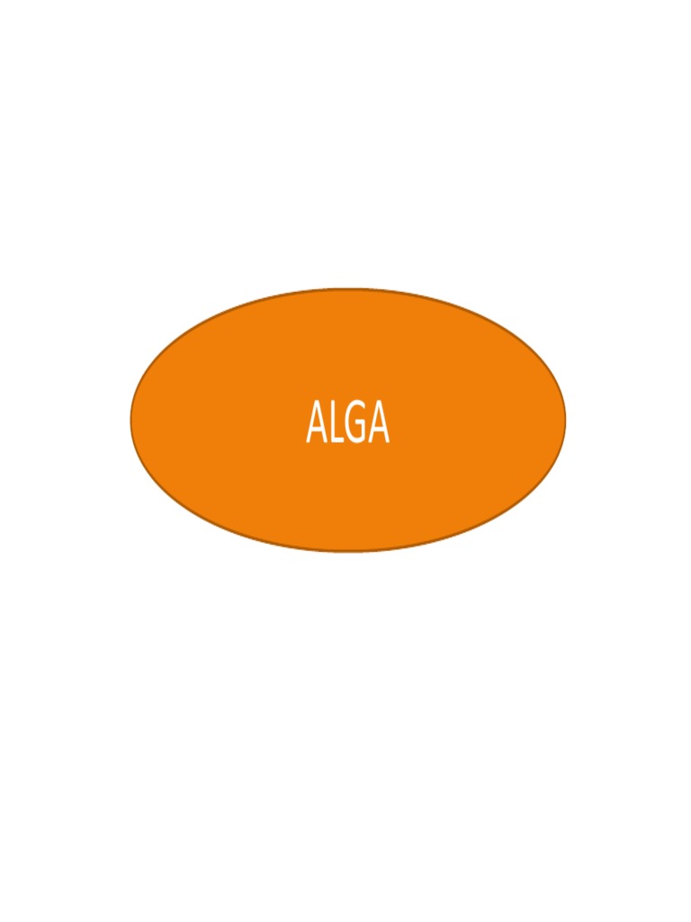 ALGA | PDF