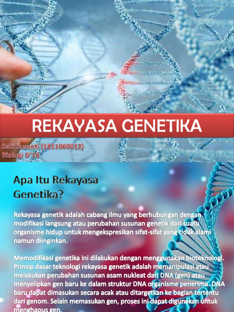 Rekayasa Genetika | PDF