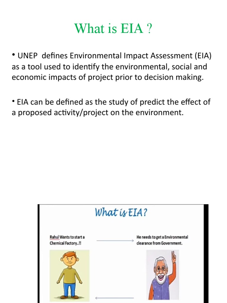 What Is EIA | PDF | Environmental Impact Assessment | Natural Environment