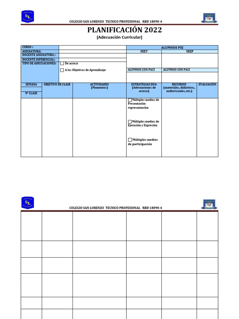 Formato Planificación Con Adecuación Curricular | PDF